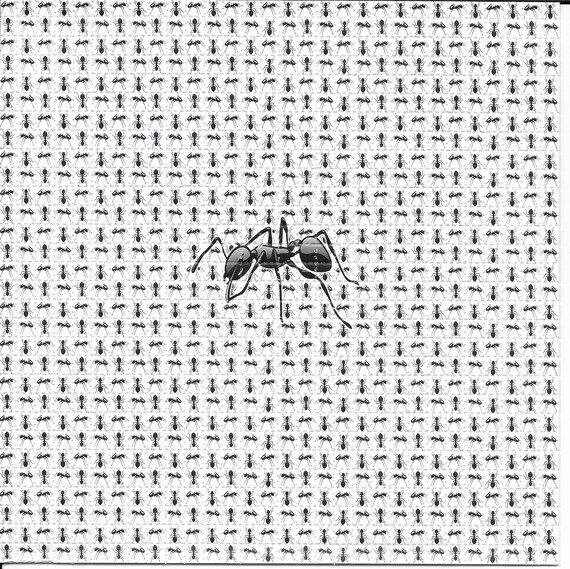 Ants LSD Blotter Art Psychedelic Acid Free Paper | Etsy