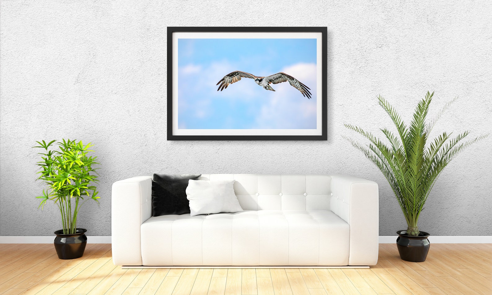 Osprey in Flight Art Print - Interior Design - Wildlife Photography ...