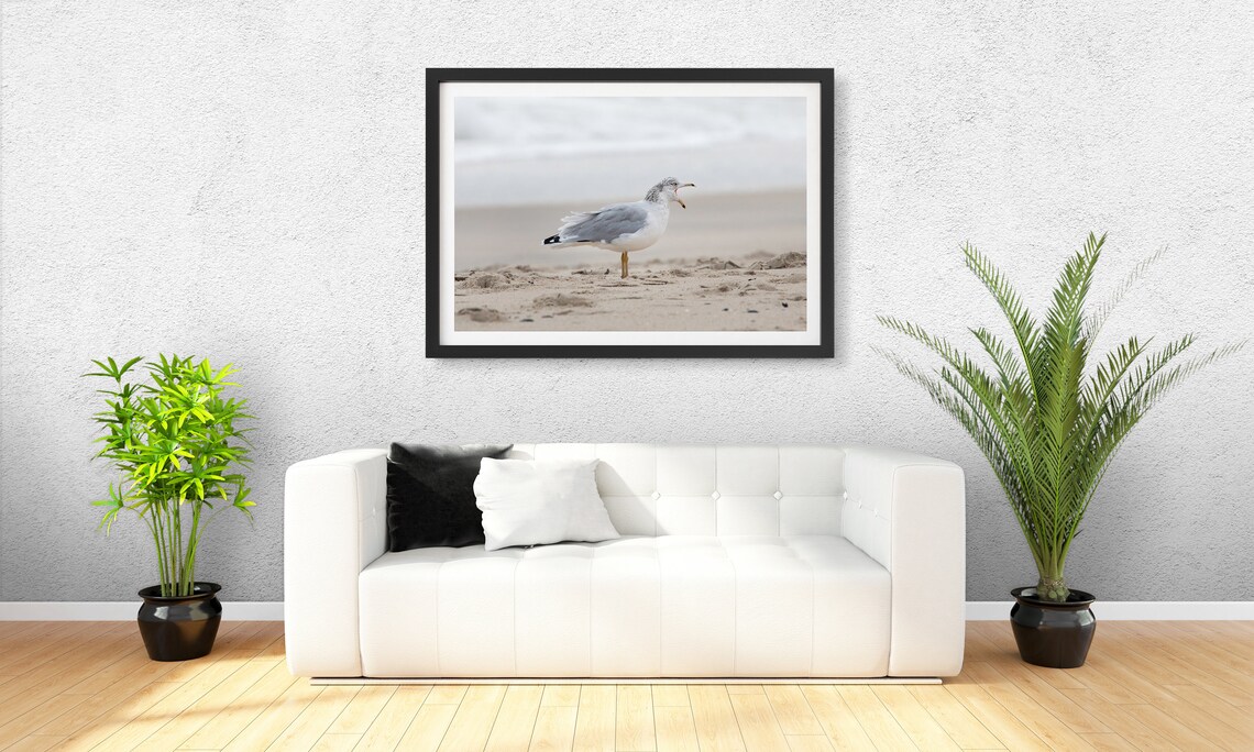 Screaming Gull Art Print - Interior Design - Wildlife Photography ...
