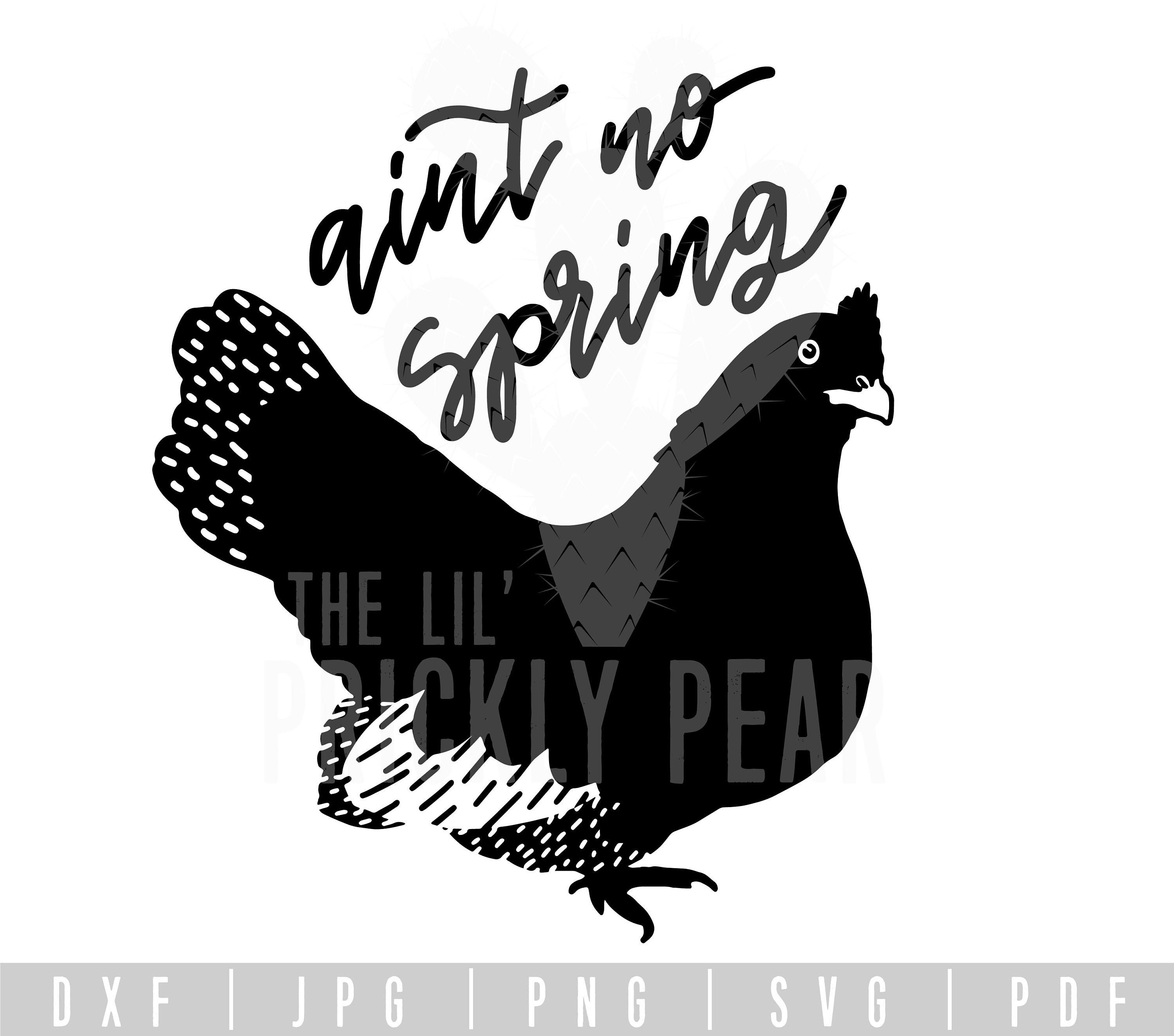Ain't No Spring Chicken SVG Printable JPG | Etsy