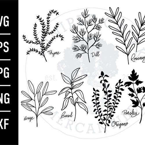 Herb SVG Bundle Herb Printables DXF JPG - Etsy