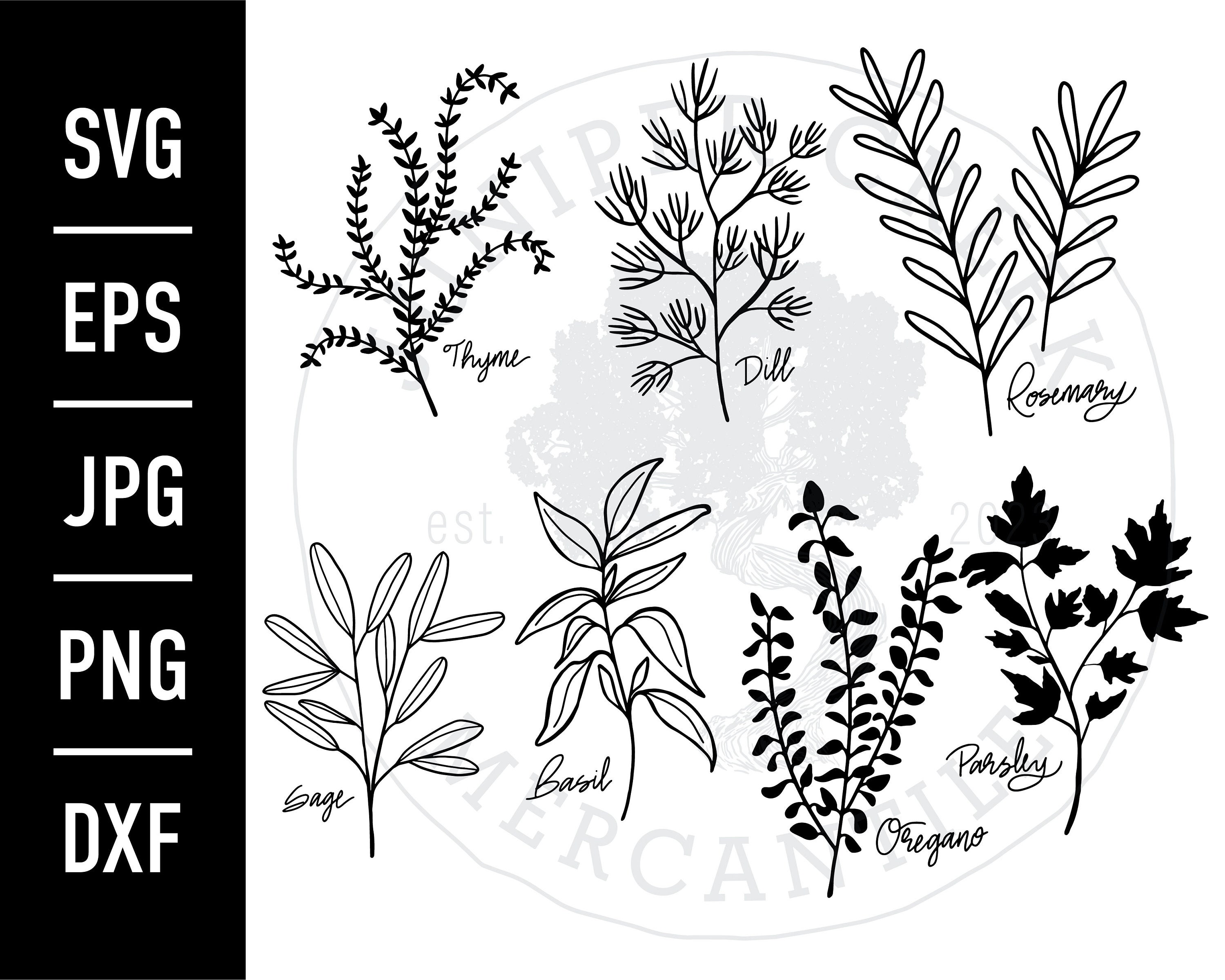 Herb SVG Bundle | Herb Printables | DXF | JPG - Etsy
