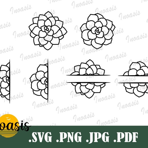 Succulent Svg - Etsy