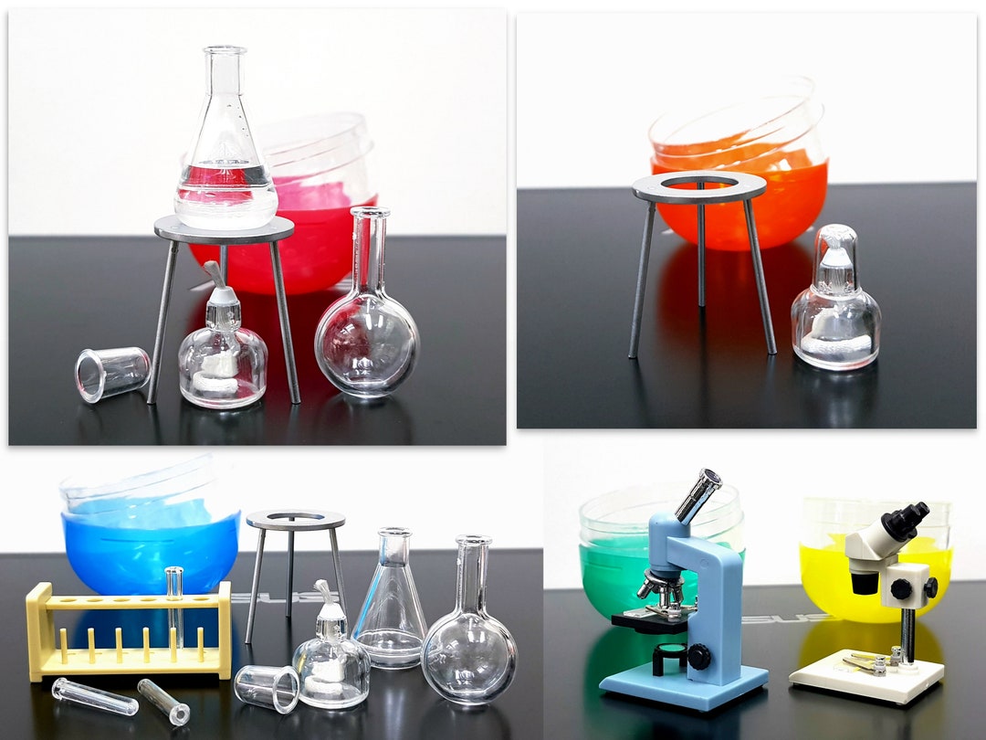 1/6 Scale Dollhouse Miniature Research Scientist Mascot Science Lab ...