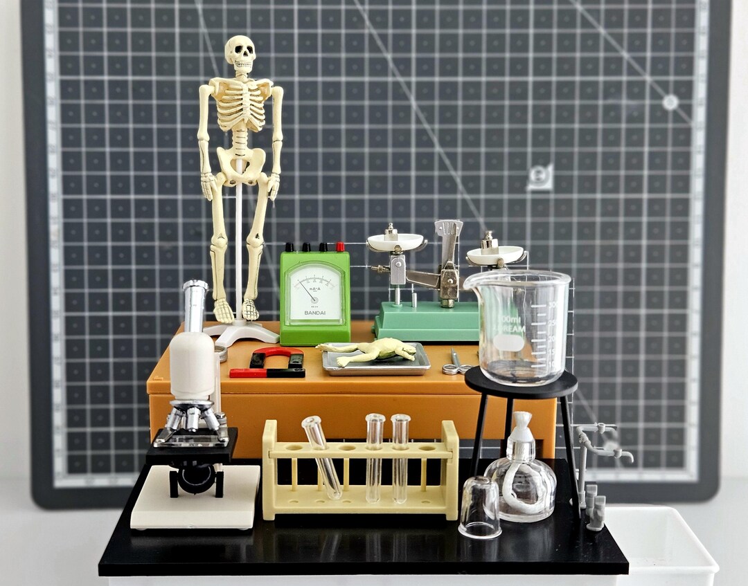 SALE 1/6 Scale Miniature Science Lab Microscope, Skeleton, Binocular ...