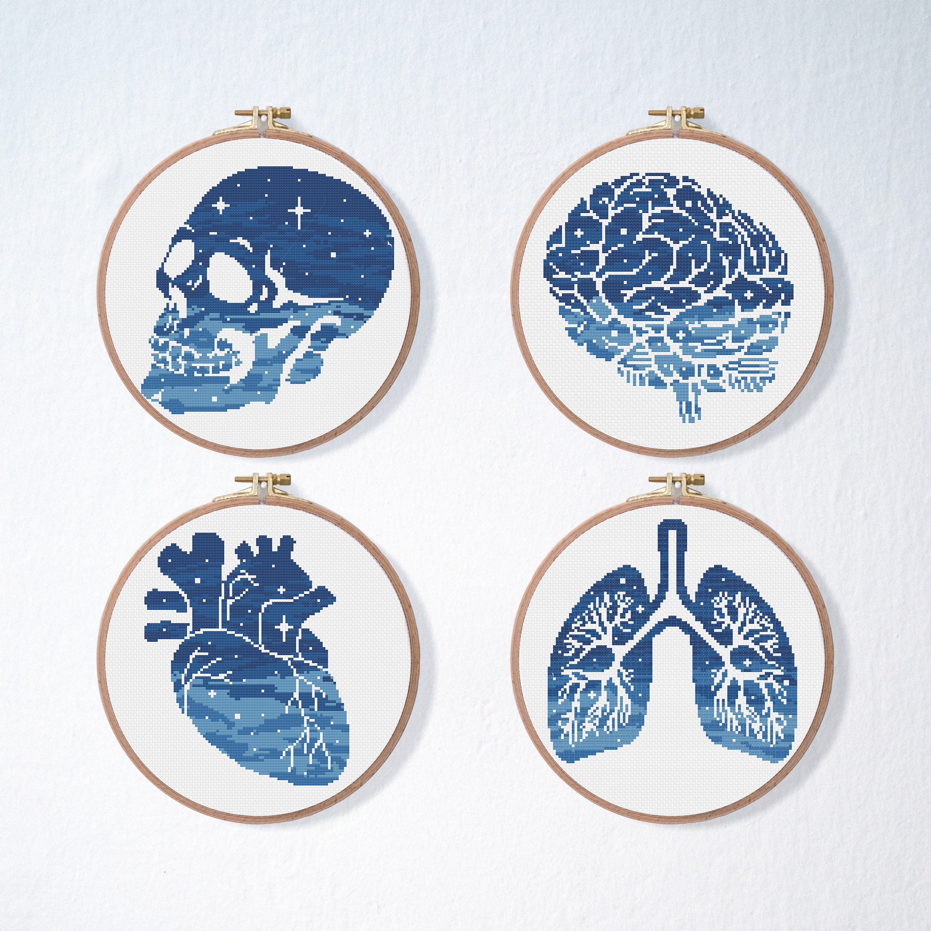 Anatomy Cross Stitch Pattern Set , Brain Skull Embroidery , Science ...
