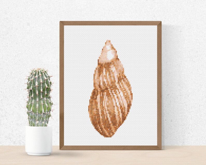 Colorful Sea Shell Cross Stitch Pattern Set Beach Starfish - Etsy