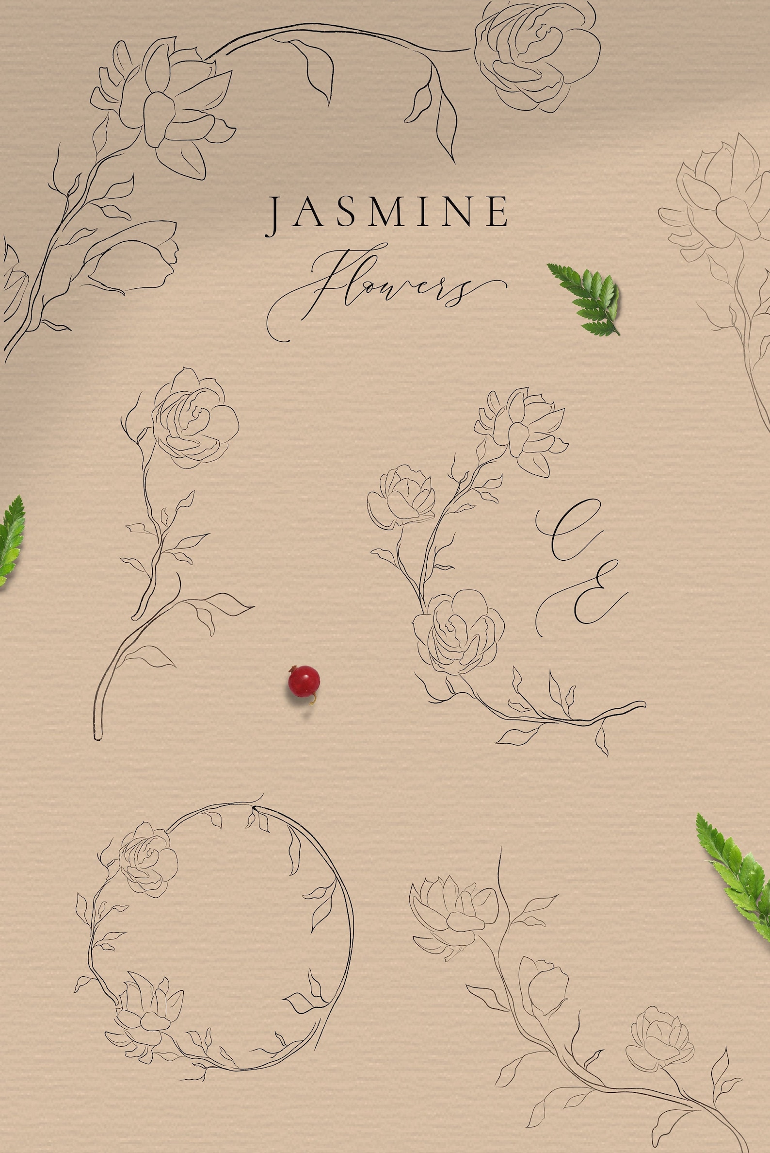 Line Drawing Jasmine Flower Illustrations Floral Decorative Wreaths ...