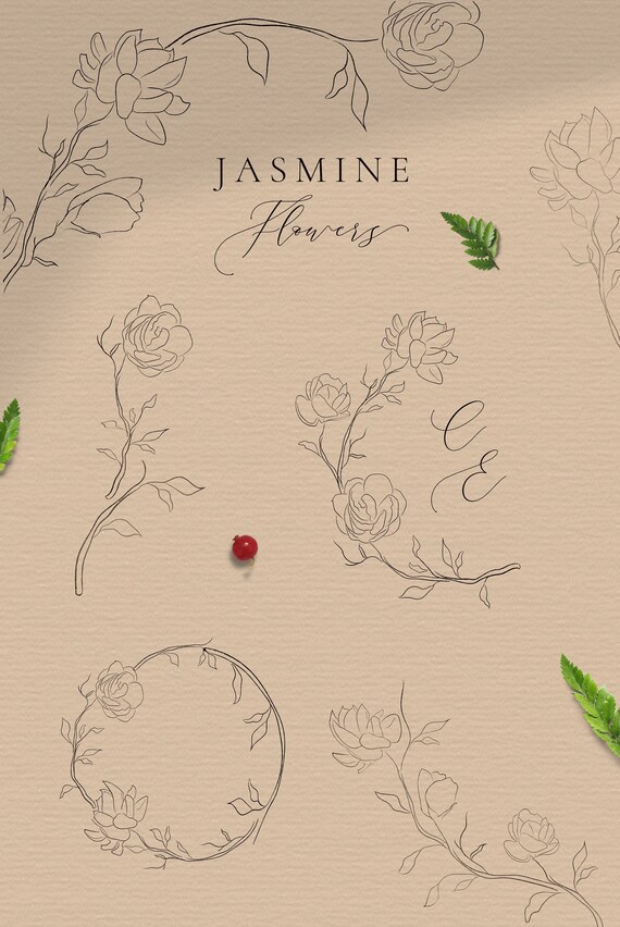 Line Drawing Jasmine Flower Illustrations Floral Decorative | Etsy