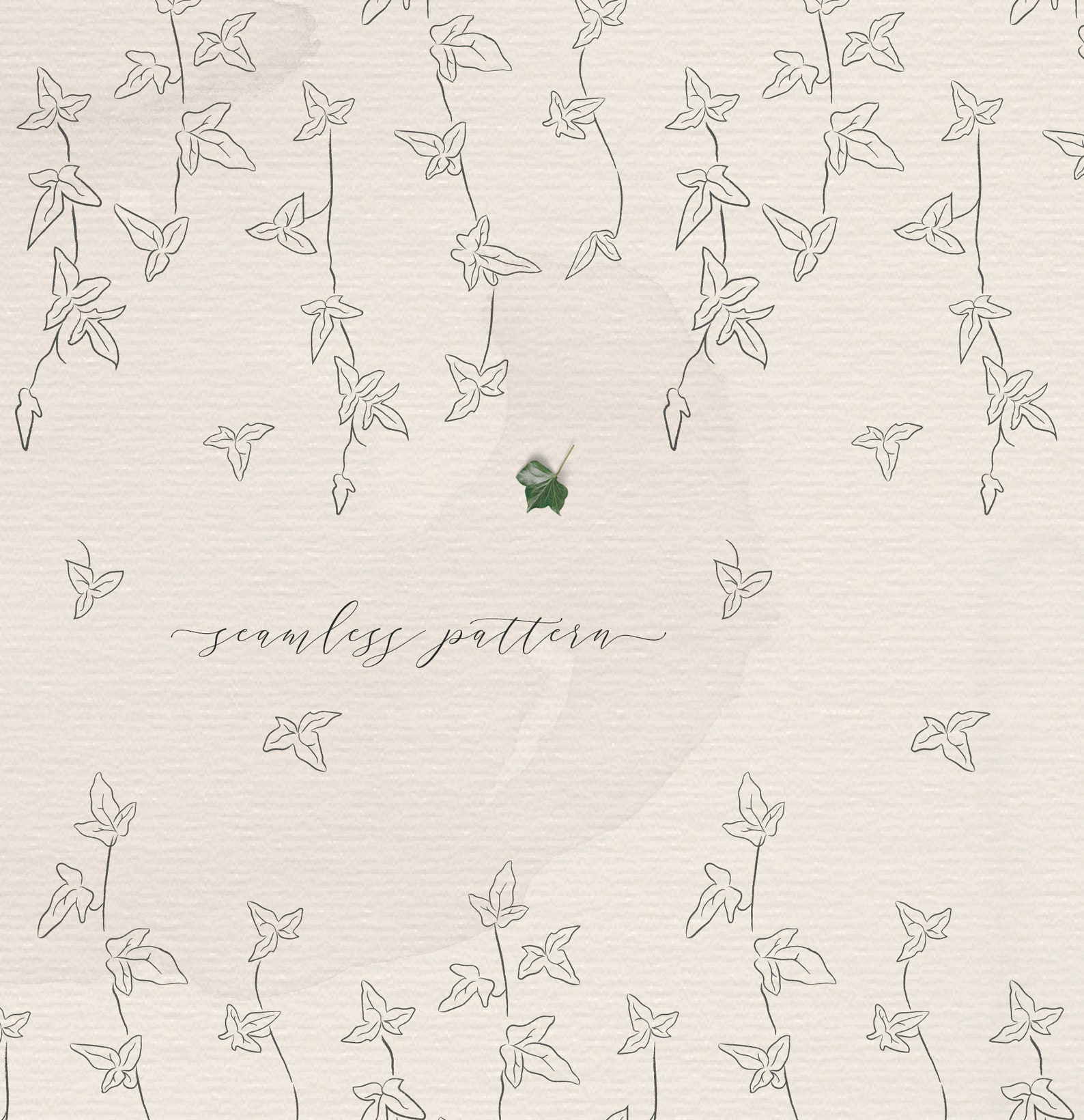 Line Drawing Ivy Plant Illustrations Floral Decorative Wreaths - Etsy