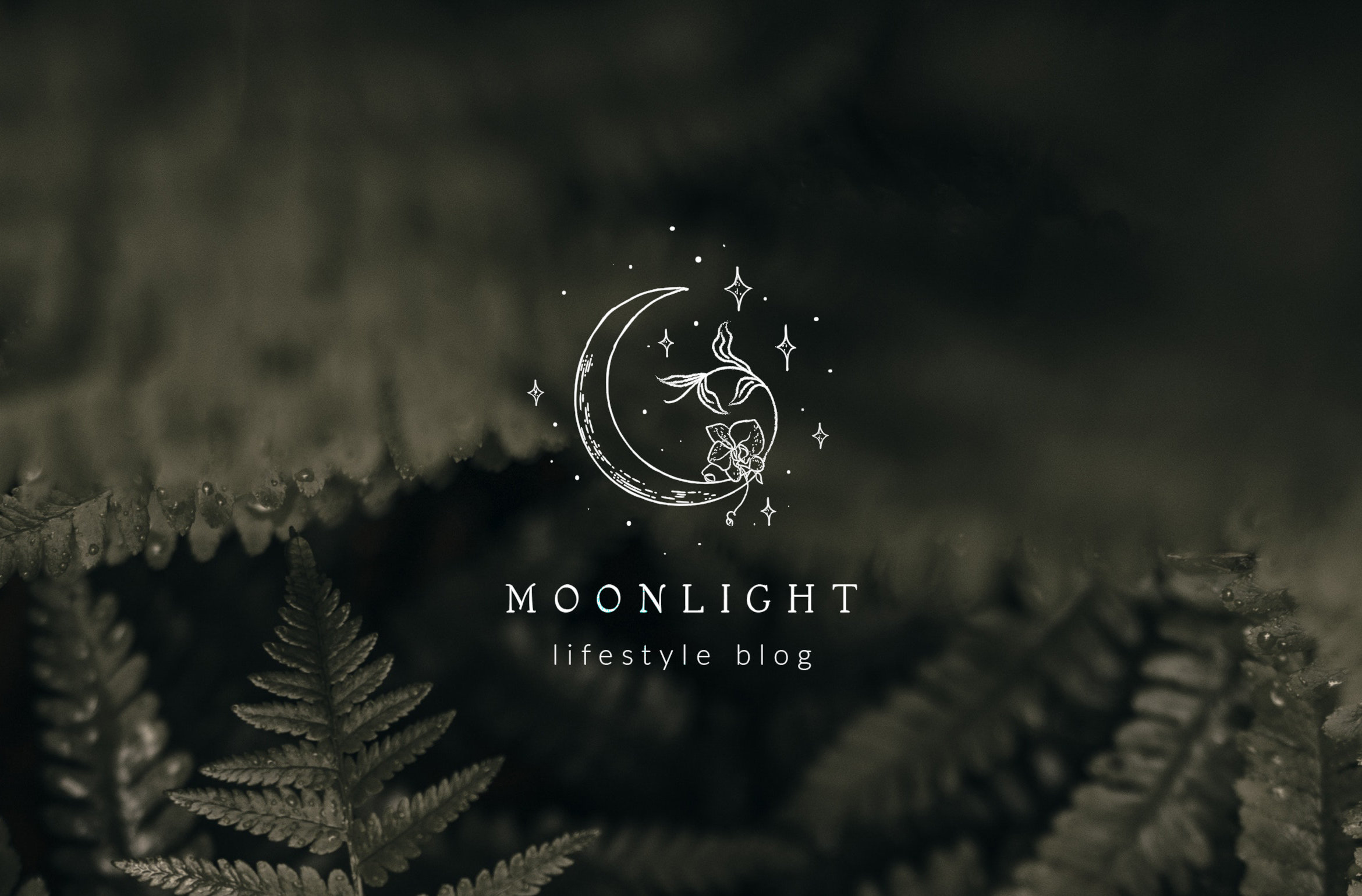 Premade Moon Brand Logo Design for Blog or Small Business | Etsy