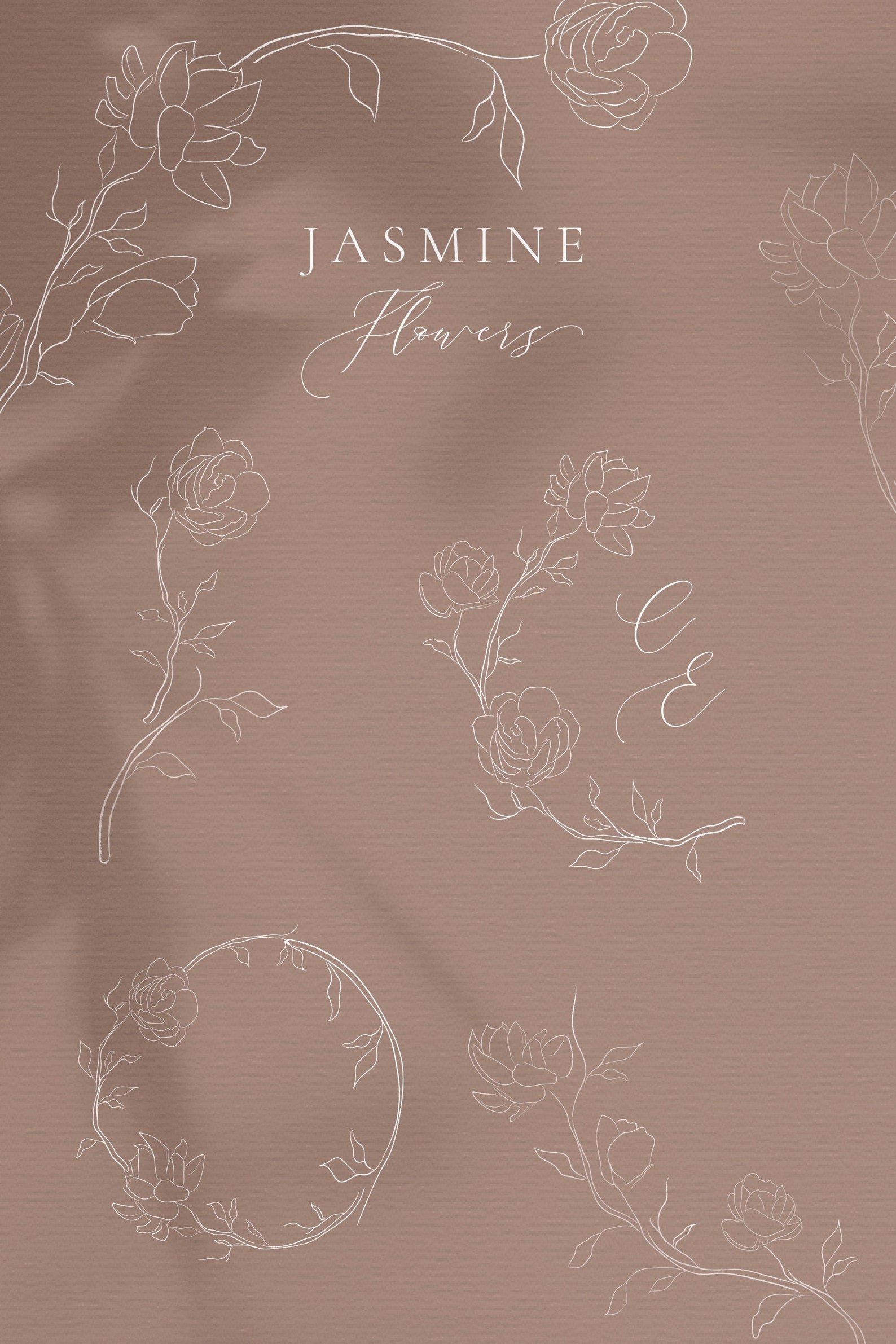Line Drawing Jasmine Flower Illustrations. White Floral | Etsy