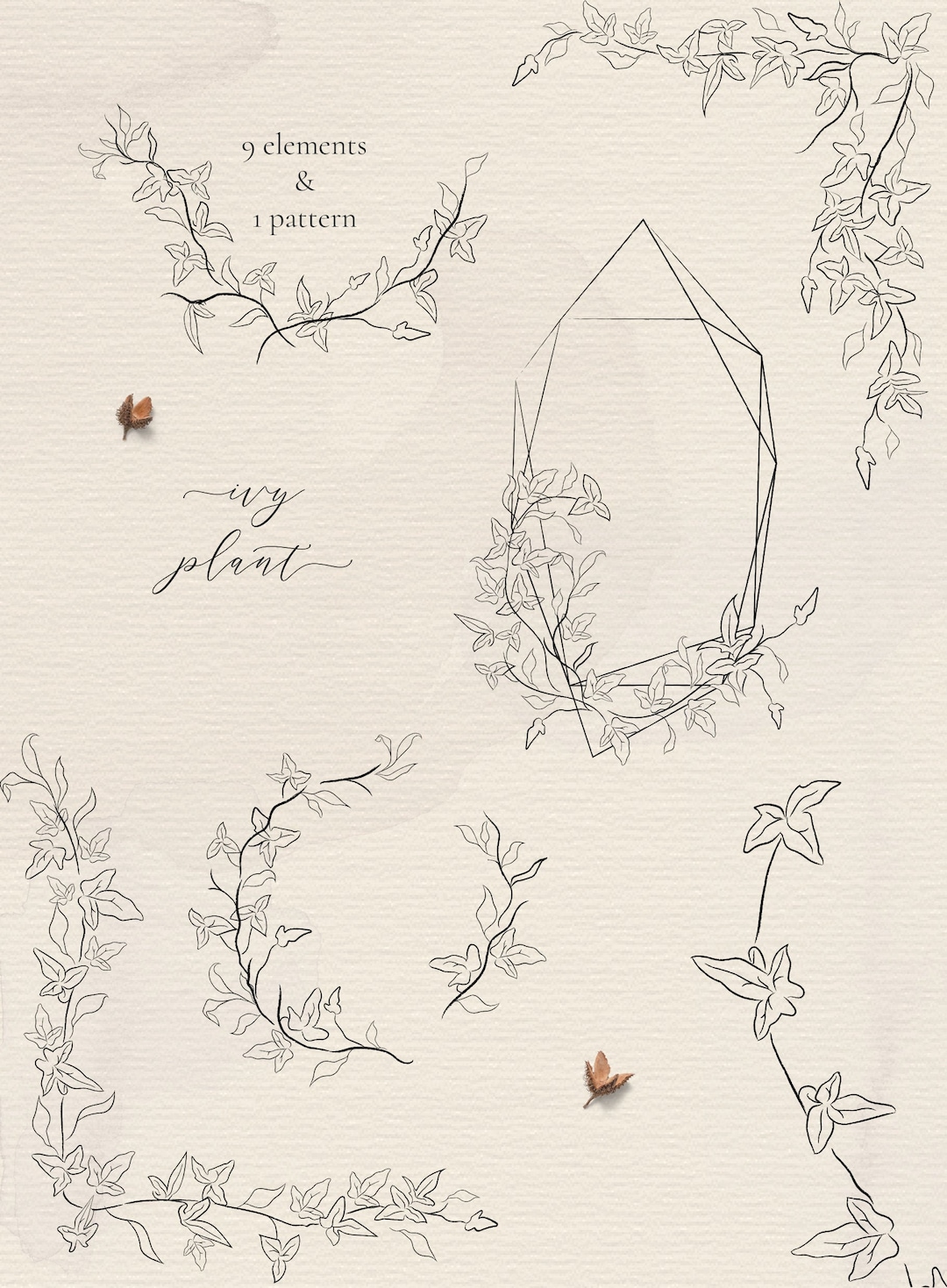 Line Drawing Ivy Plant Illustrations Floral Decorative Wreaths Clipart ...