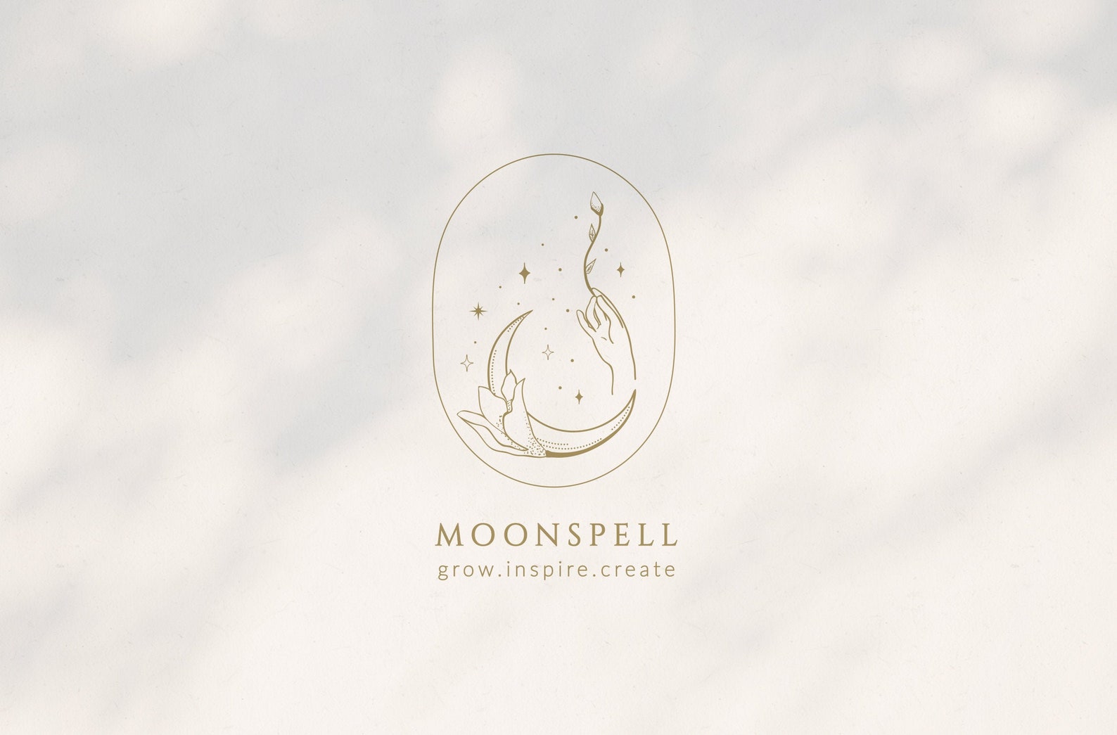 Premade Moon Brand Logo and Packaging Design for Blog or Small Business ...