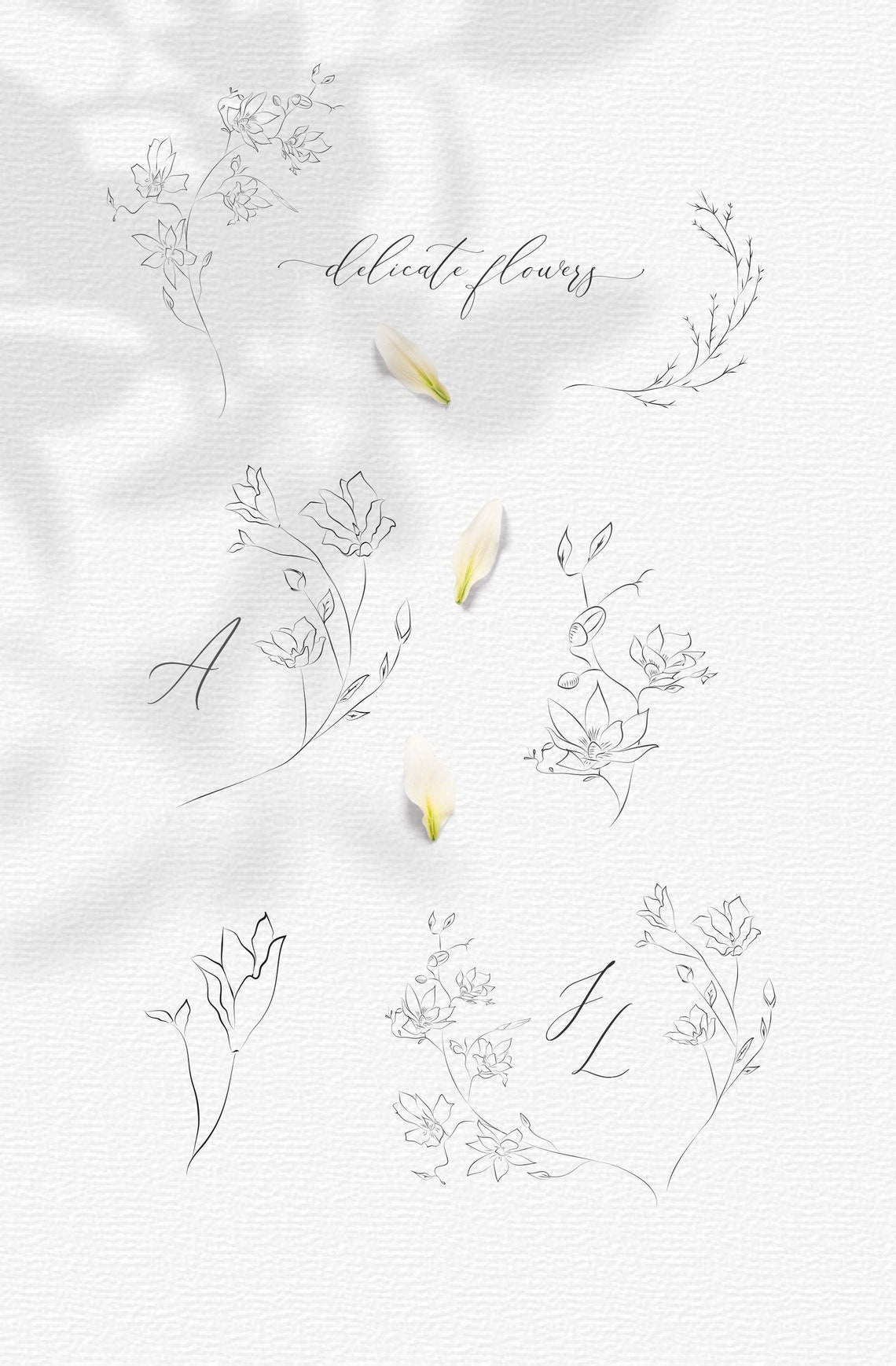 Line Drawing Botanical Illustrations 20 Elements Flowers - Etsy