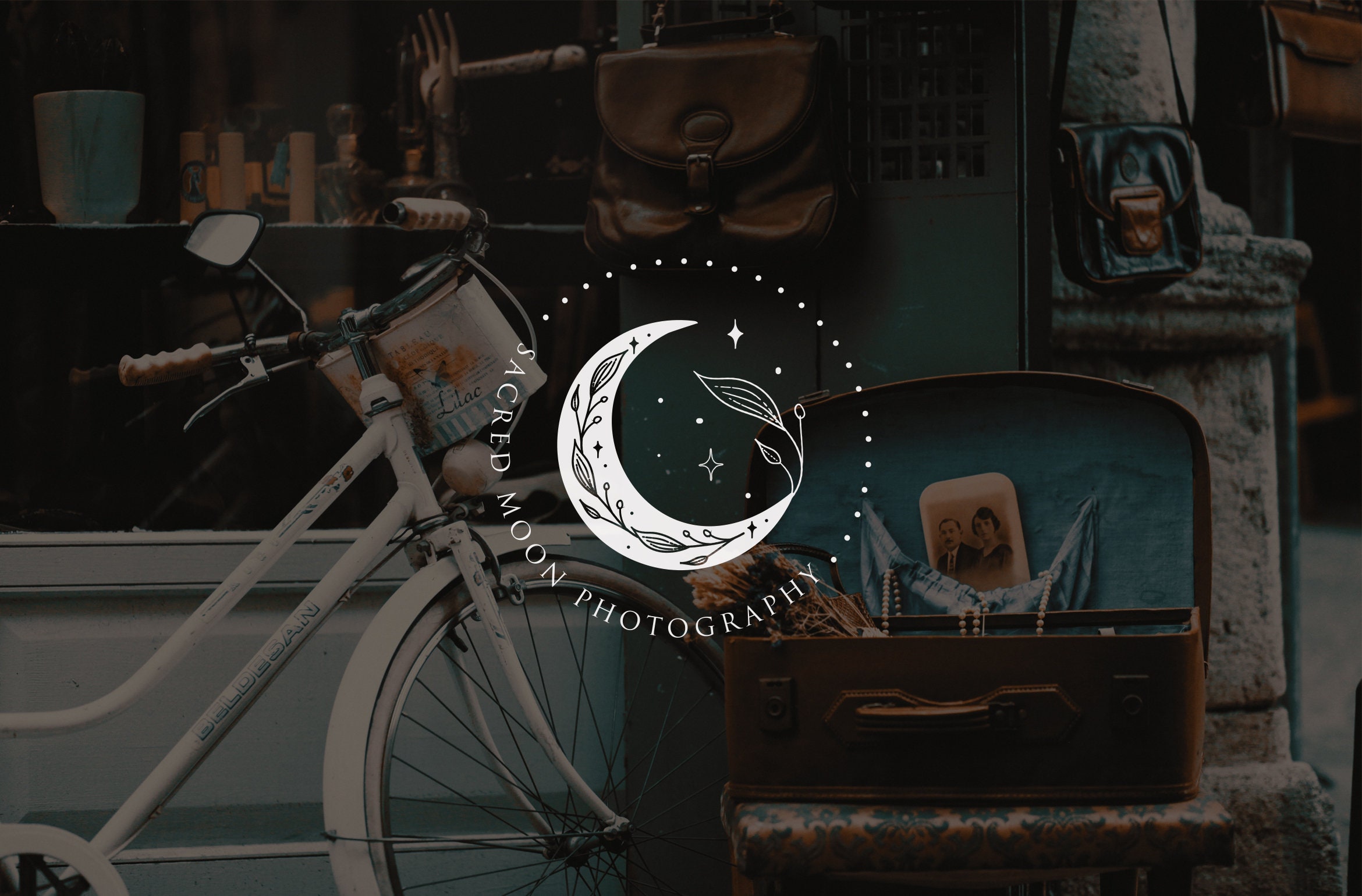 Premade Moon Brand Logo Design for Blog or Small Business | Etsy