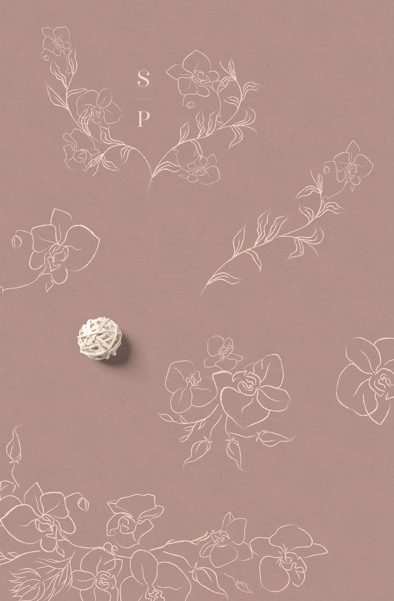 White Line Drawing Delicate Orchid Flowers Illustrations. - Etsy