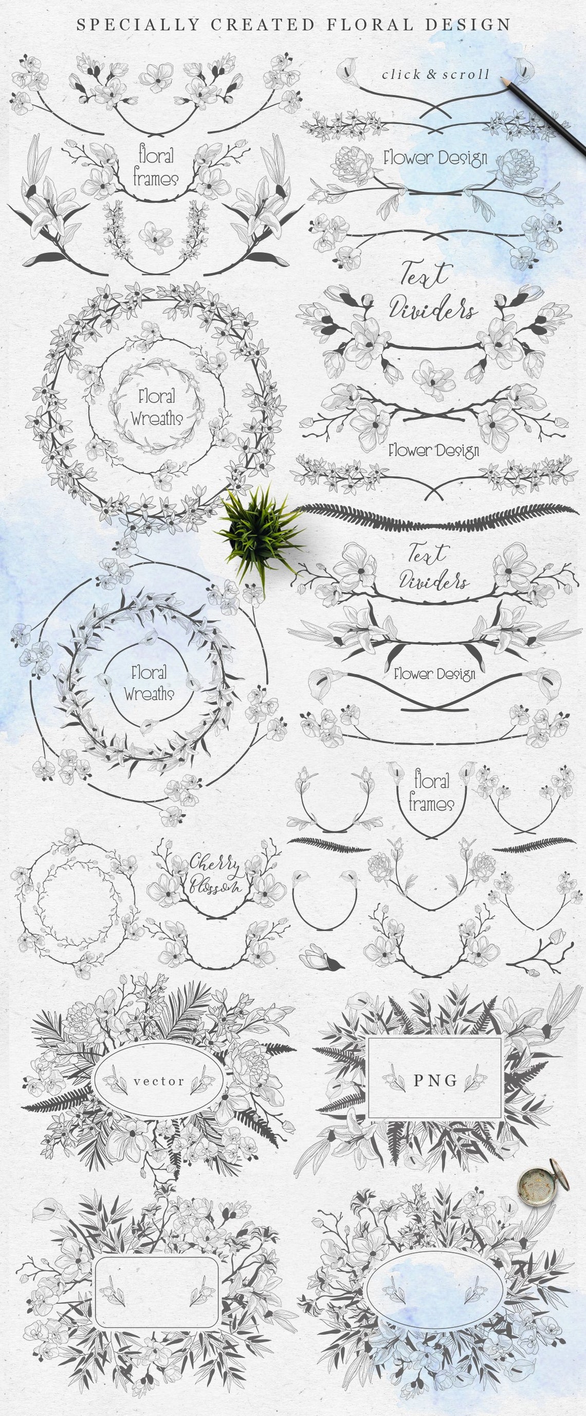 Delicate Blossom Collection of Design Floral Elements. Flowers - Etsy