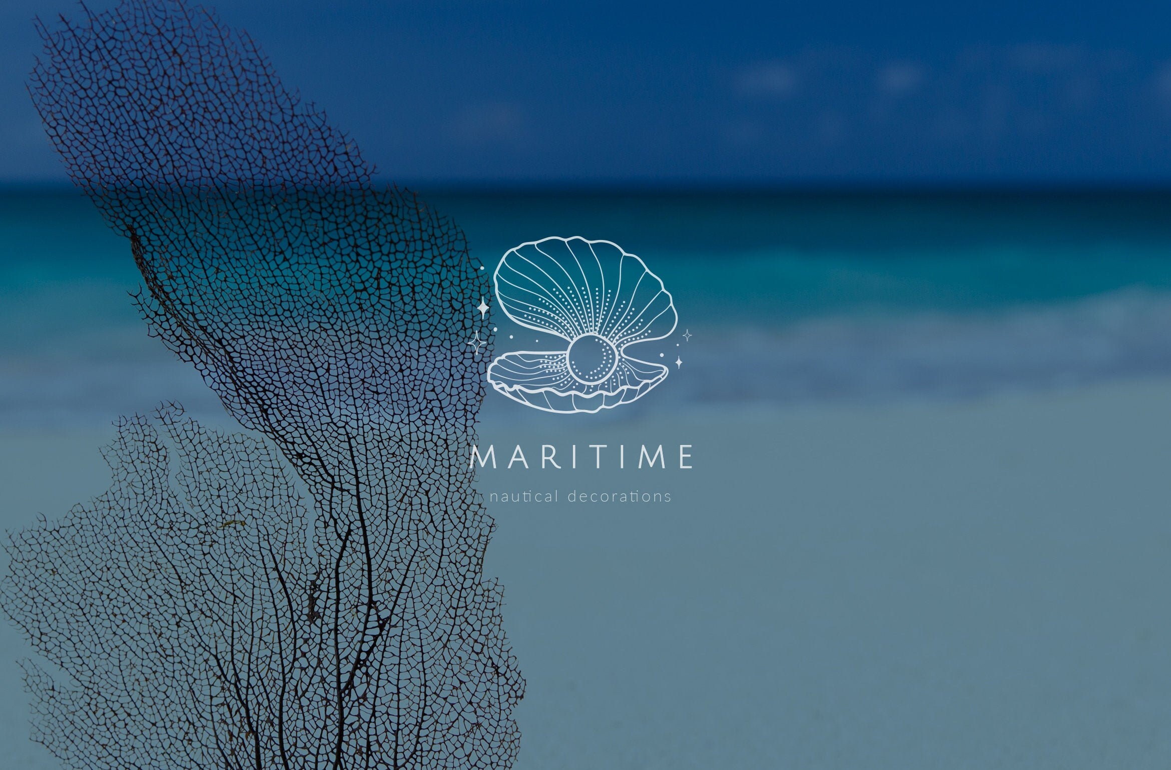 Seashell Premade Brand Logo Design for Small Business Line - Etsy