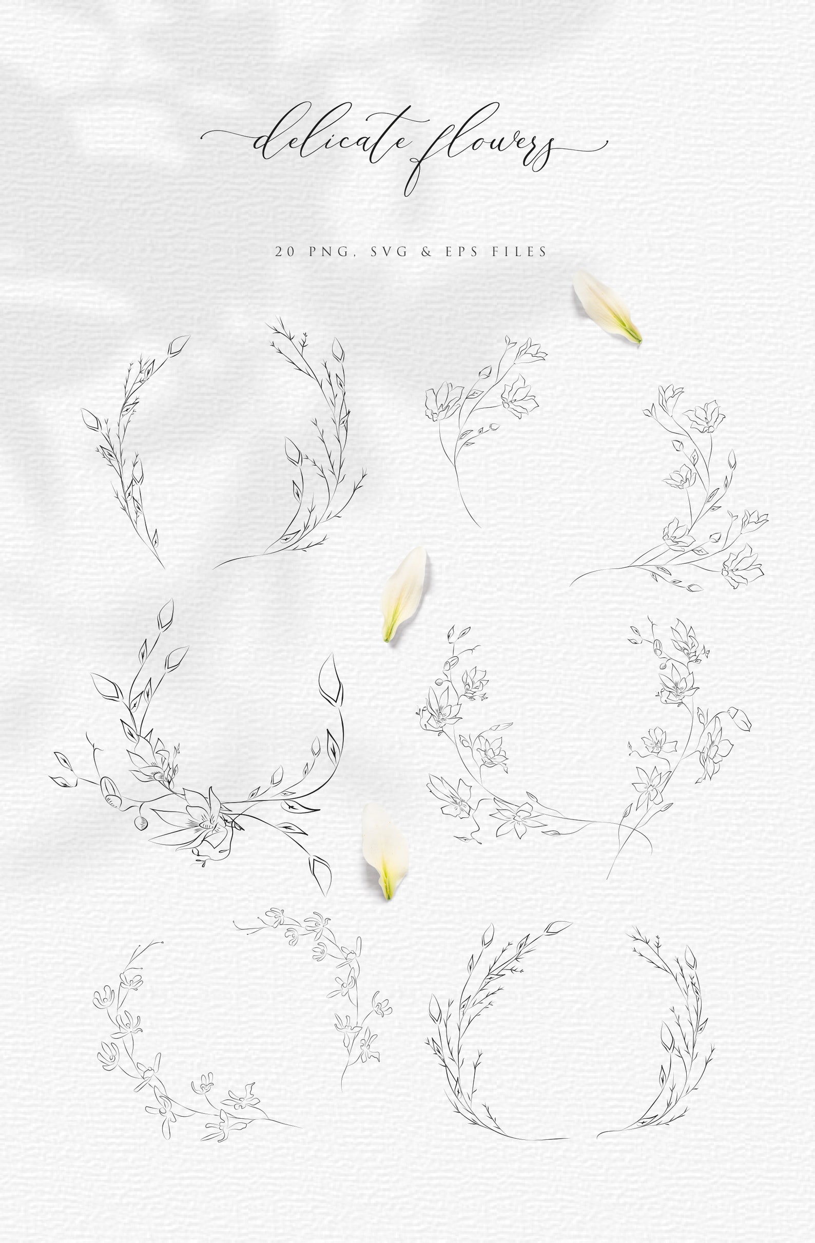 Line Drawing Botanical Illustrations ~ 20 Elements ~ Flowers, Wreaths ...