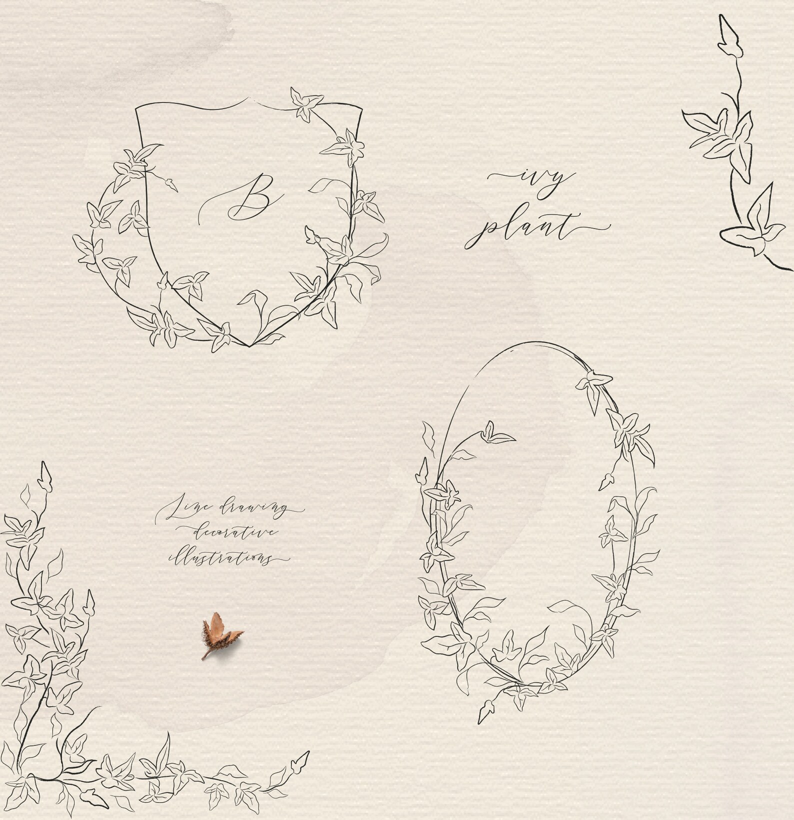 Line Drawing Ivy Plant Illustrations Floral Decorative Wreaths | Etsy