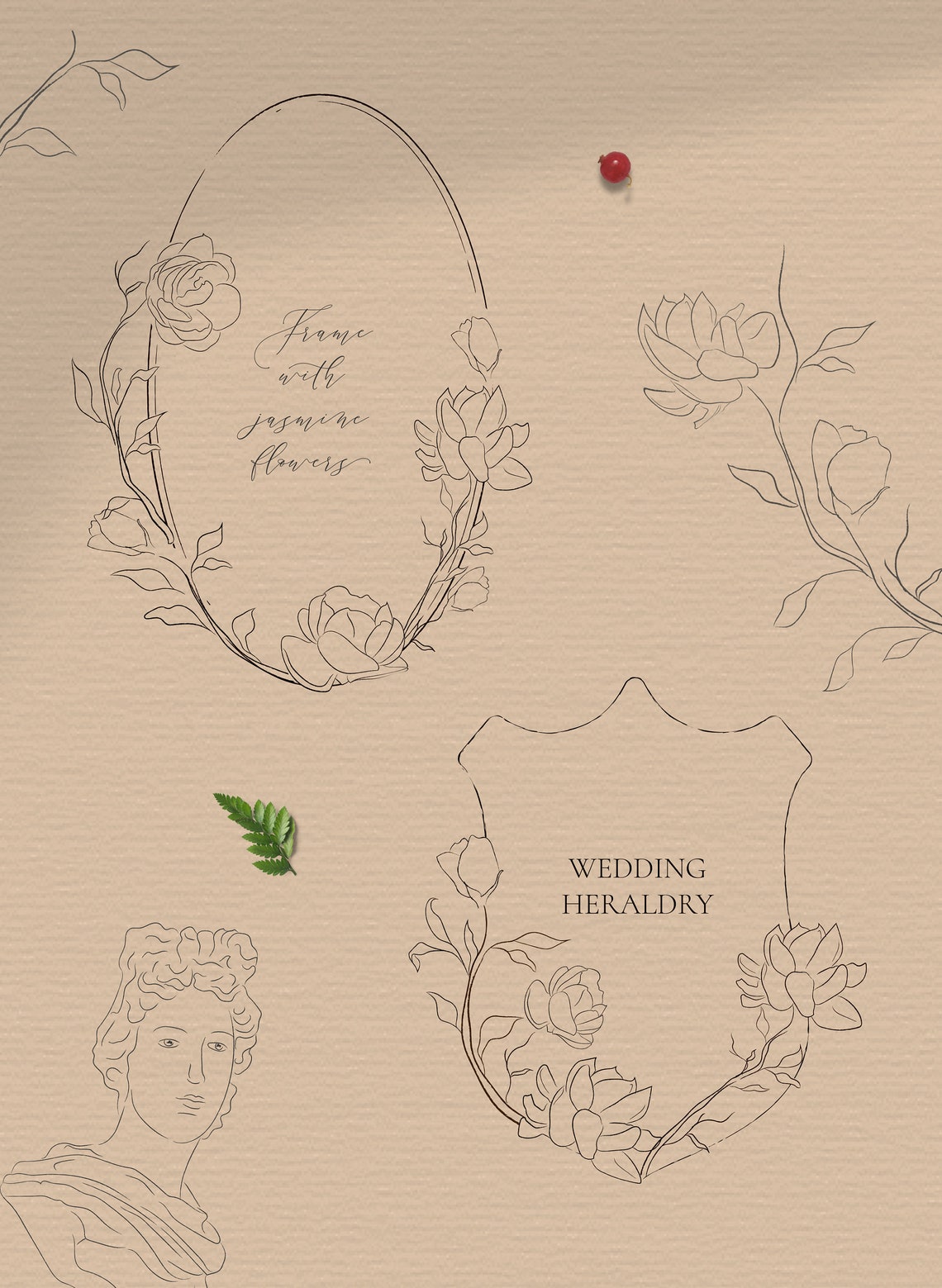 Line Drawing Jasmine Flower Illustrations Floral Decorative Wreaths ...