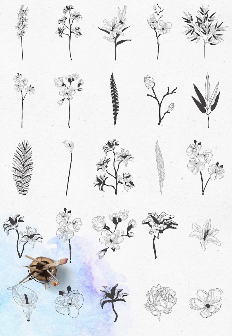 Delicate Blossom Collection of Design Floral Elements. Flowers - Etsy