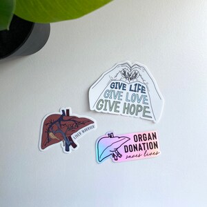 Organ Donation Sticker BUNDLE, Kidney Sticker, Liver Sticker, Lung ...