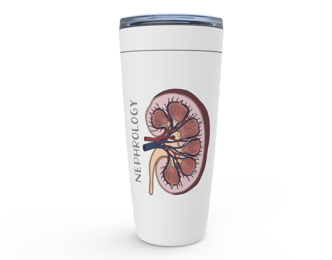 Nephrology Kidney Anatomy Tumbler, Dialysis 20oz Tumbler, Nephrology ...
