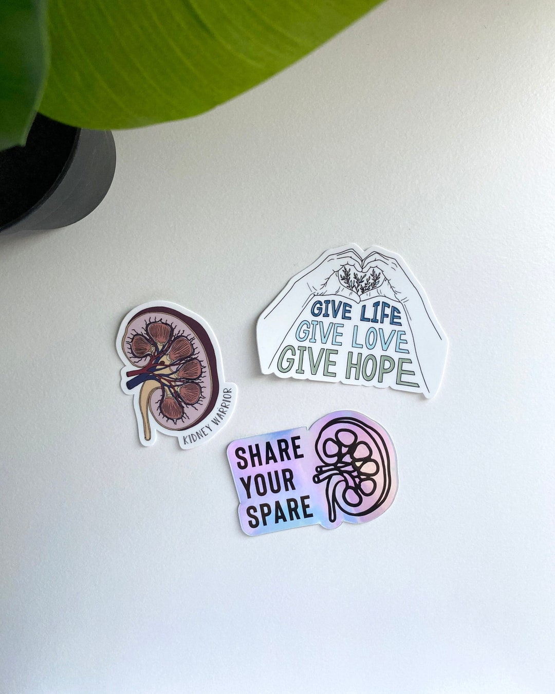 Organ Donation Sticker BUNDLE, Kidney Sticker, Liver Sticker, Lung ...