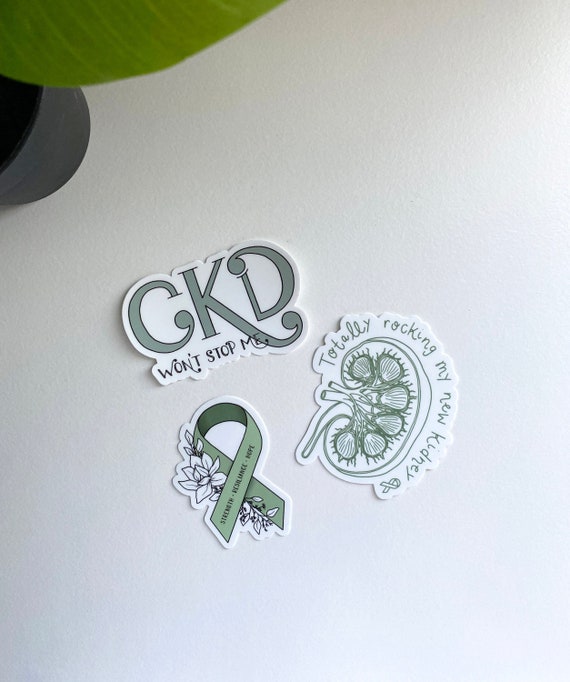Kidney Warrior Sticker BUNDLE Kidney Transplant Gift - Etsy