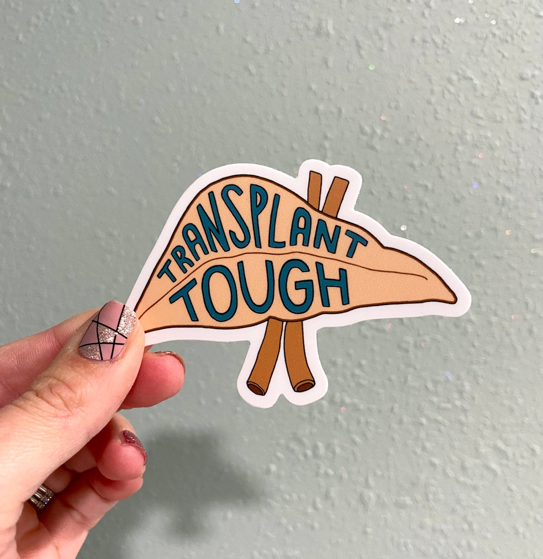 Liver Transplant Sticker 'transplant Tough' Hand-drawn Decal, Perfect ...