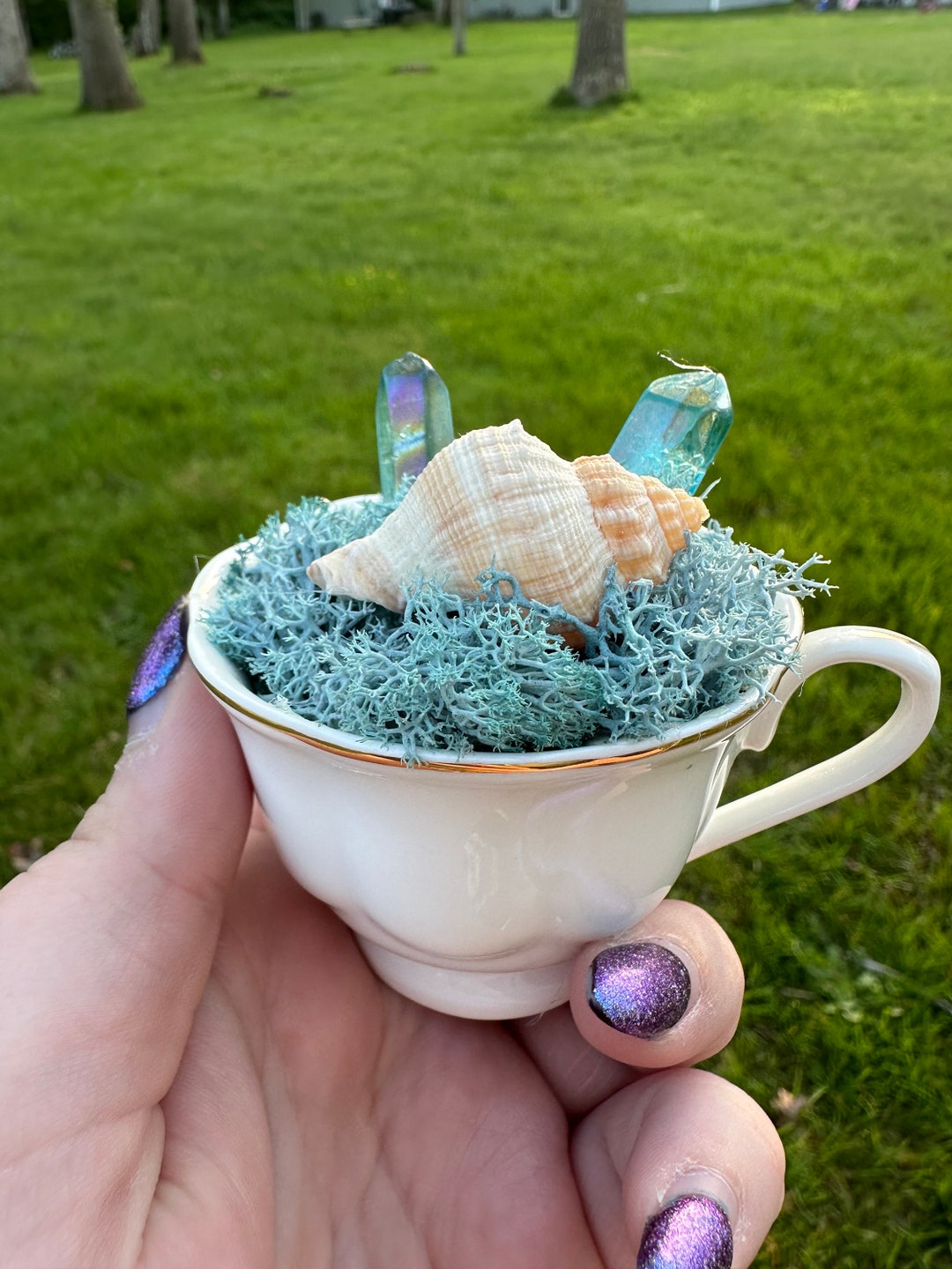 Mini Mermaid Teacup Crystal Garden - Etsy