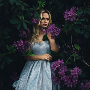 RENTAL Alice Dress Photoshoot Dress Wedding Dress - Etsy