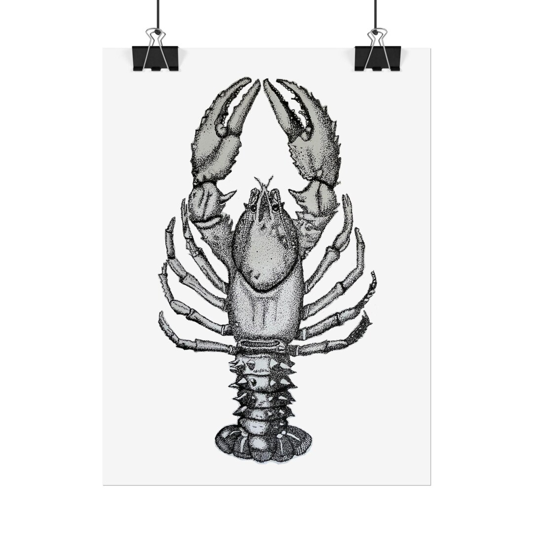 Lobster Stipple Poster, Rolled Art Print, Australian Artist, Black Line ...