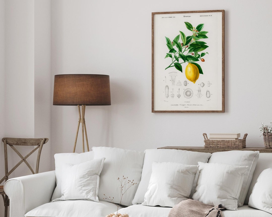 Fruit Poster, Lemon by Charles Dessalines, Lemon Wall Art, Cottage Wall ...