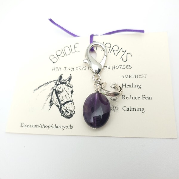 Bridle Charm for Horses - Etsy