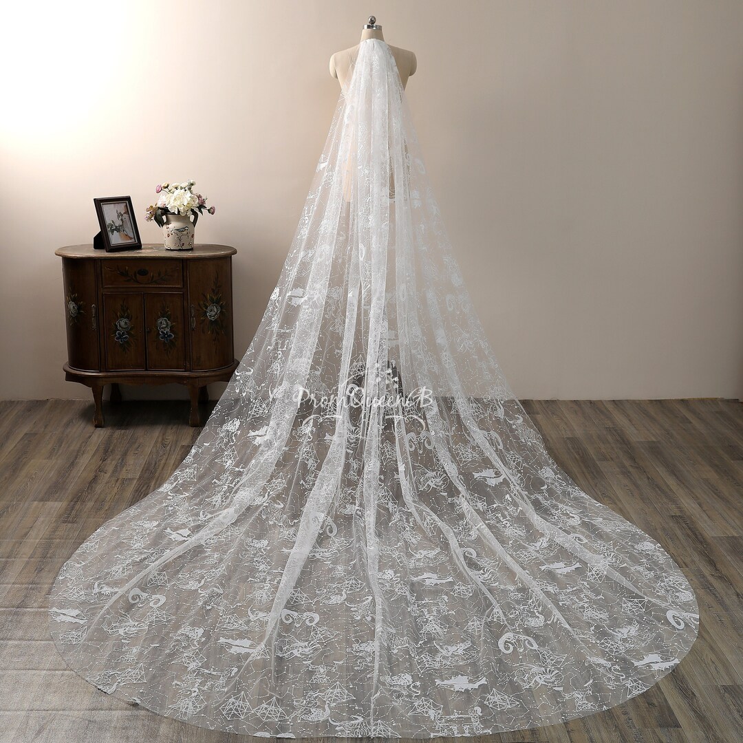 Sparkly Constellation Pattern Wedding Veil, Elegant Bridal Veil ...