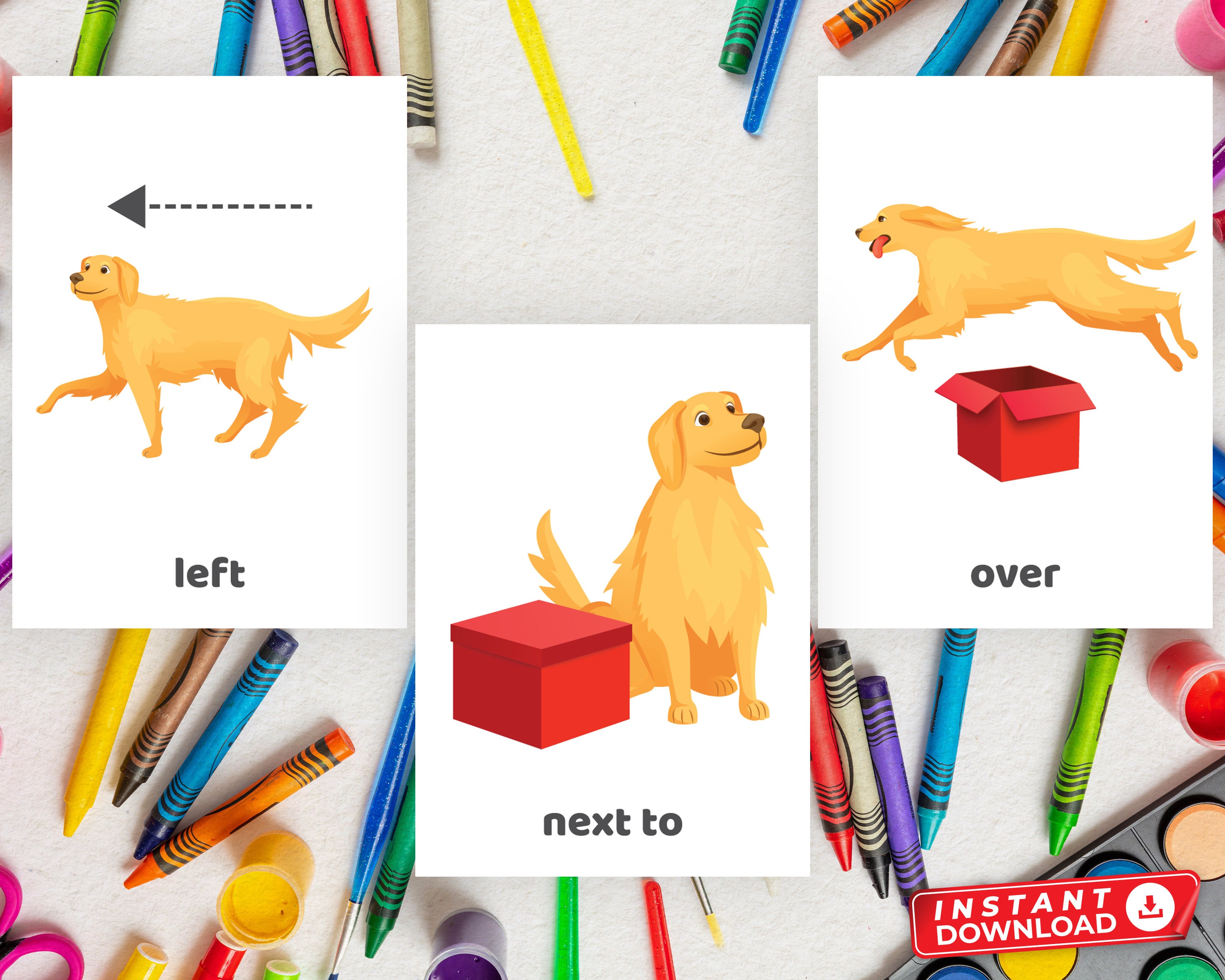 Cartoon Preposition Pictures Flash Cards Verbs Flash Cards - Etsy Australia