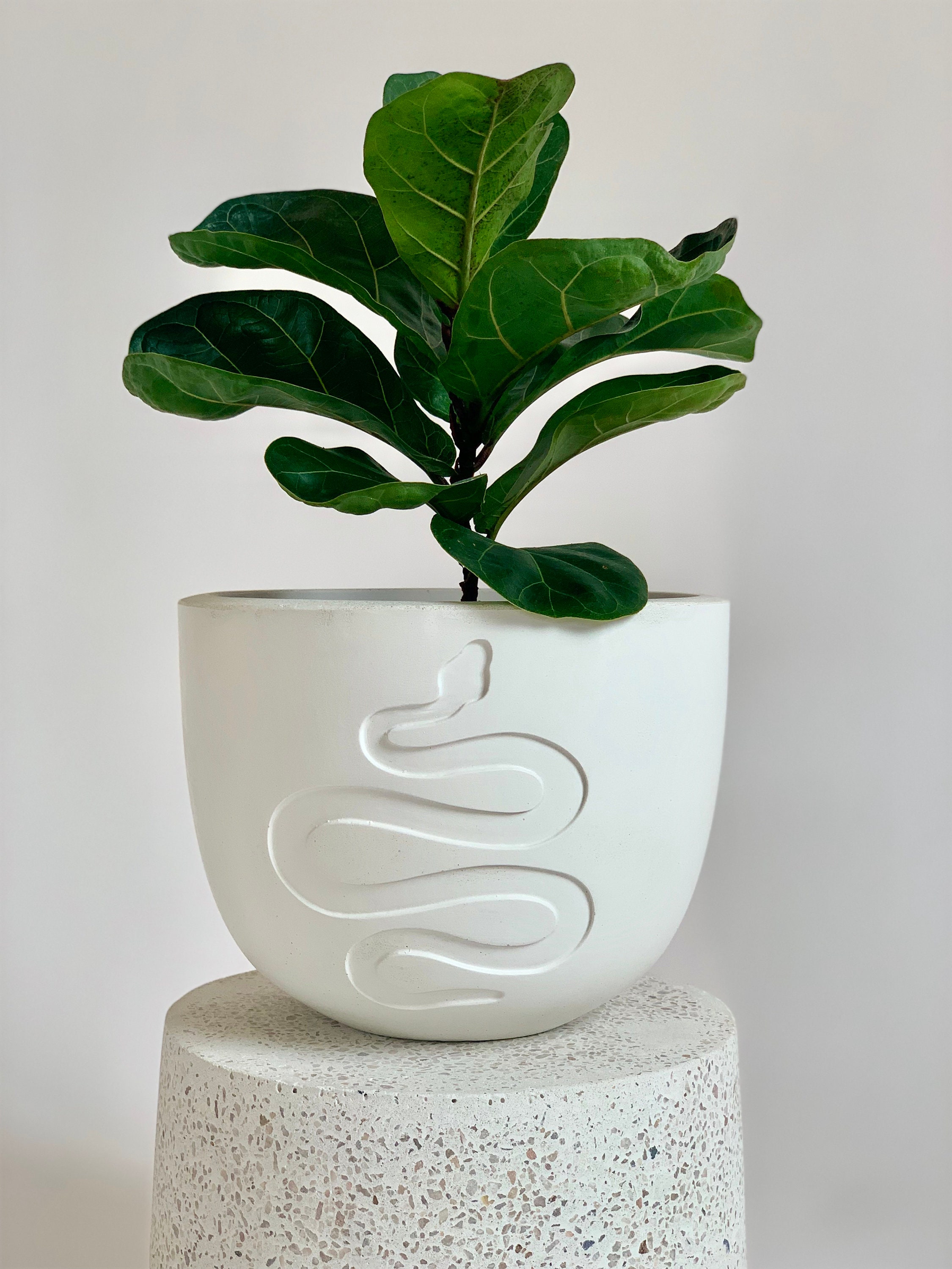 The Snake Pot Mid: Bone / Concrete Pot / Modern Pot - Etsy.de
