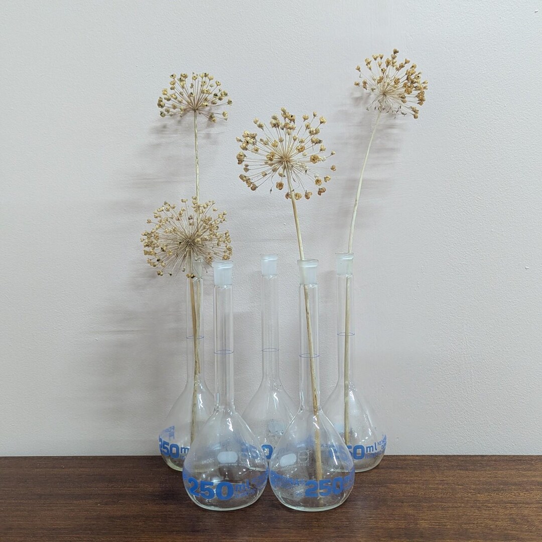 Set of Five Tall Science Lab Volumetric Glass Flasks - Etsy