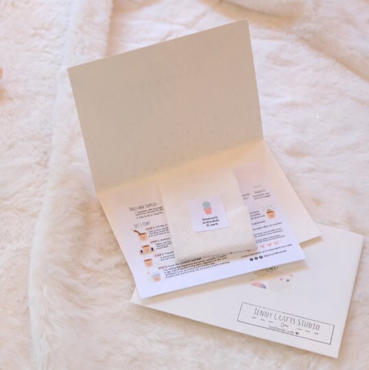 Tiger's Jaw 10 Seeds Succulent Seeds | Etsy Canada