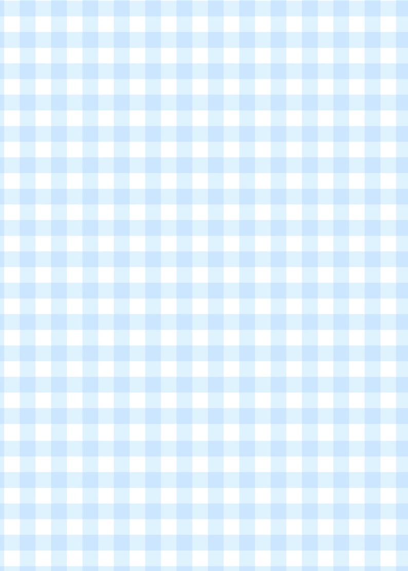 Classic Blue Gingham Boy Birthday Invitation Digital Download Editable ...