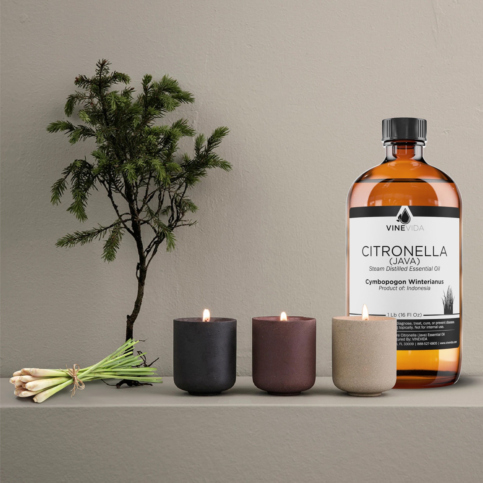 Bulk Citronella Java Essential Oil 16 Oz 1 Pound in Glass | Etsy