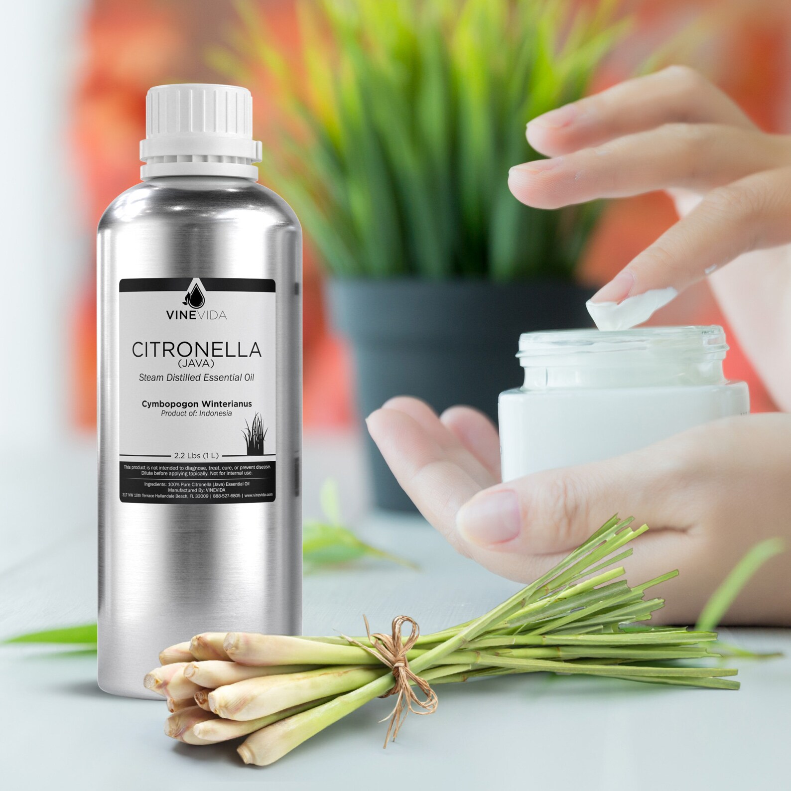 Bulk Citronella Java Essential Oil 32 Oz 2 Lbs in Aluminum | Etsy