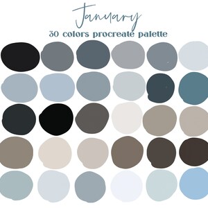 Monthly Neutrals 12 Procreate Color Palettes / iPad Procreate Swatches ...