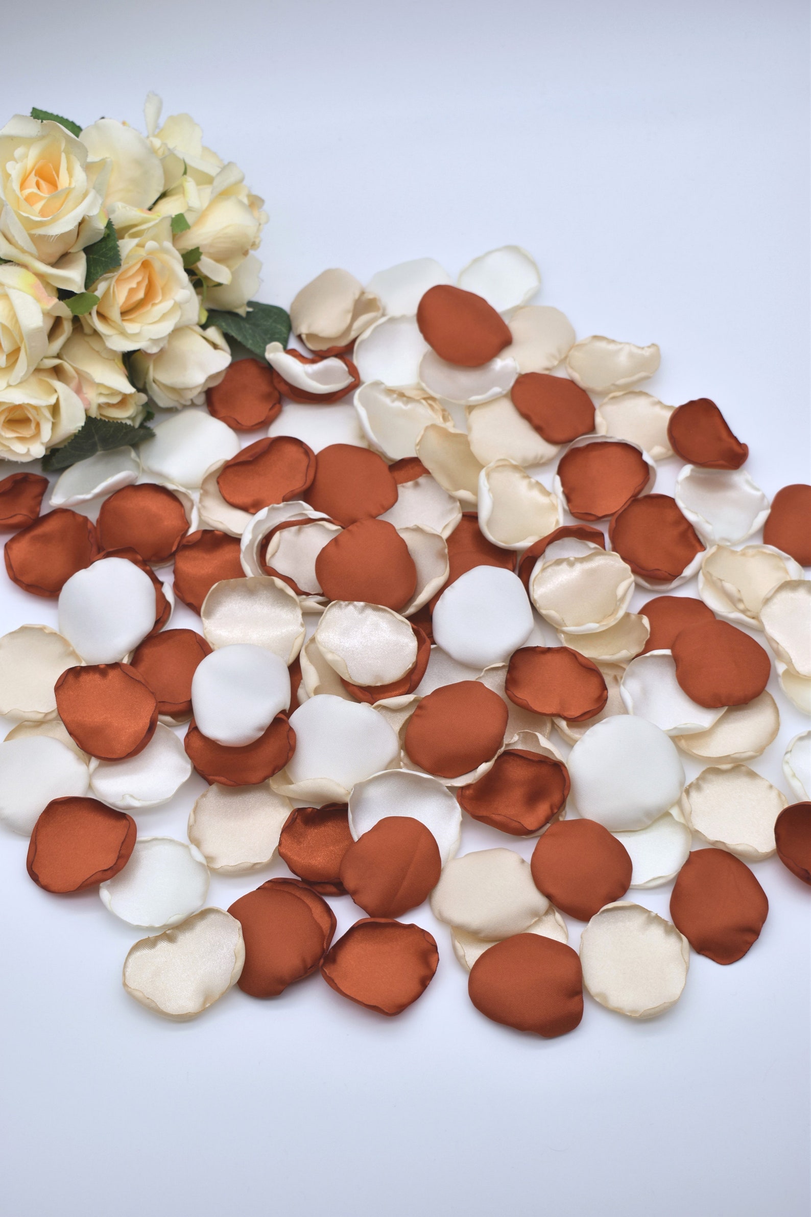 Terracotta Rose Petals, Champagne Petals, Ivory Petals Terracotta ...
