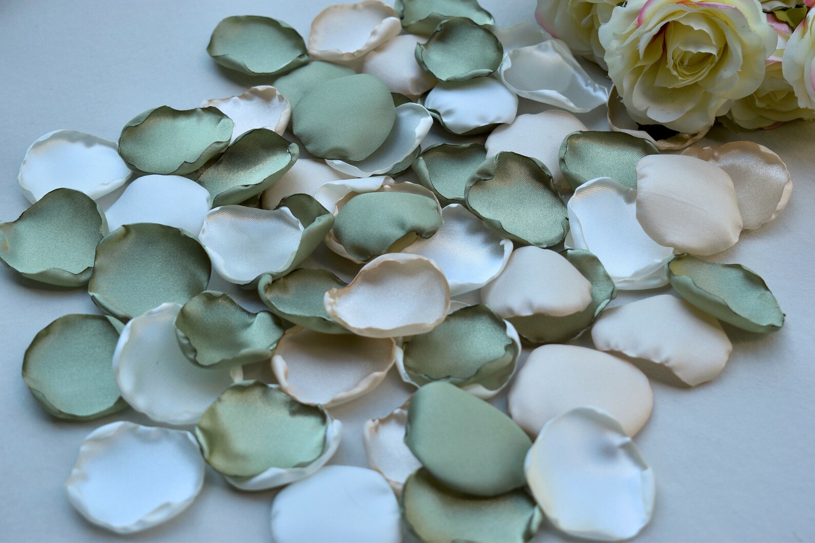 Sage Green Rose Petals Champagne Ivory Rose Petals Sage - Etsy