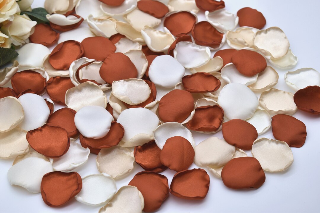 Terracotta Rose Petals, Champagne Petals, Ivory Petals Terracotta ...
