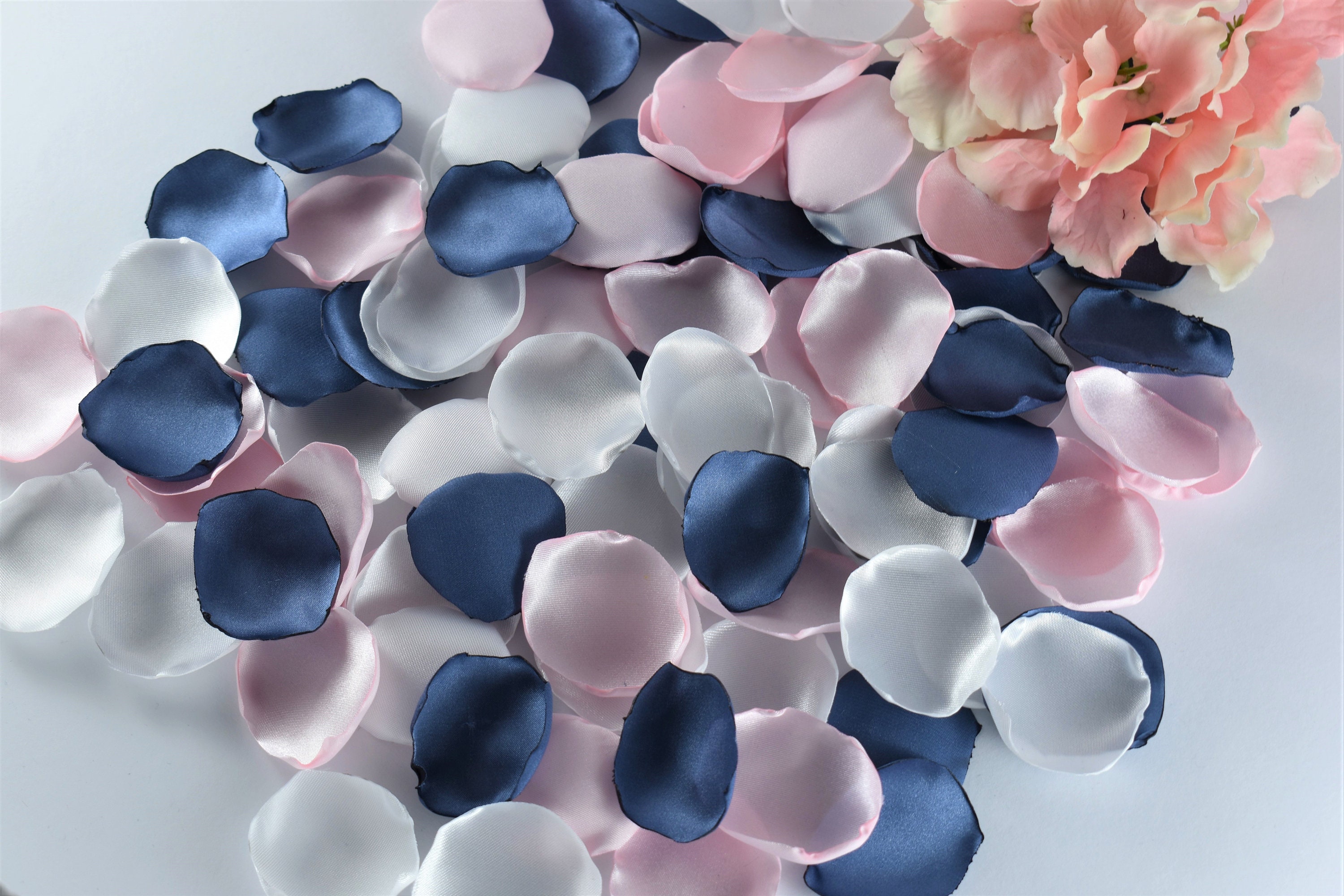 Steel Blue Rose Petals Blush Pink Rose Petals White Rose - Etsy